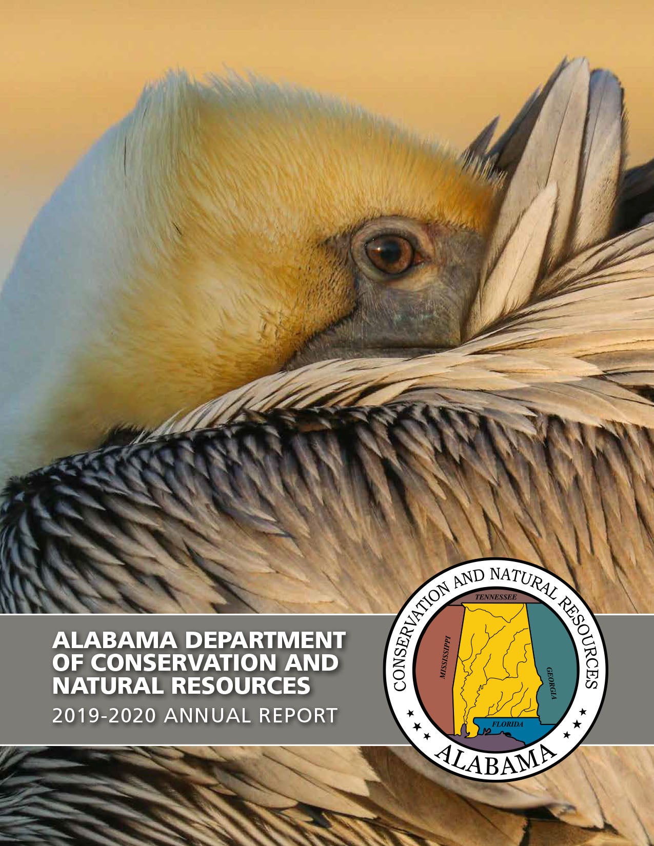 Annual Reports | Outdoor Alabama